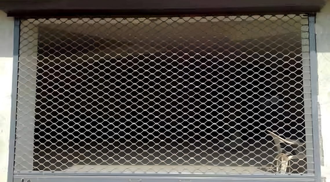 Grill Rolling Shutter – Akashrollingshutters.com